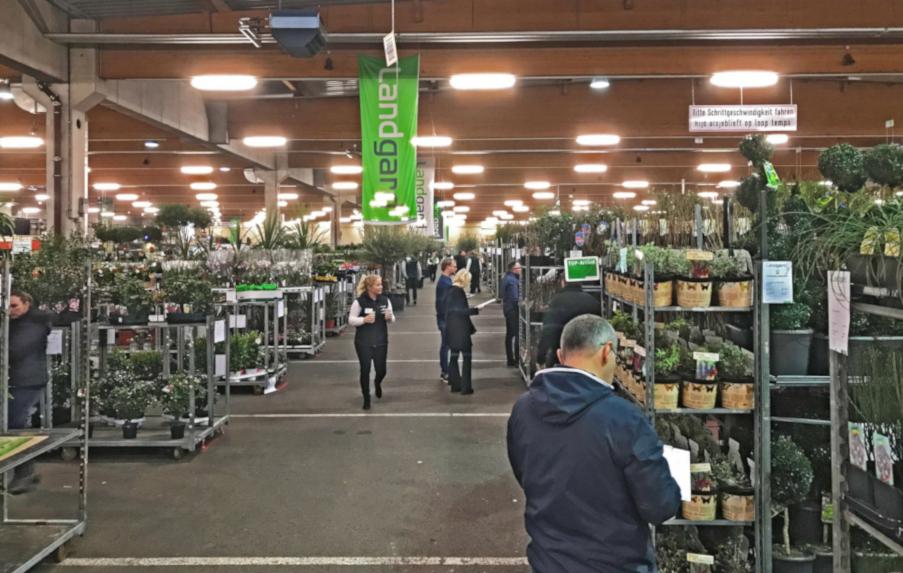 Landgard Frühjahrs-Ordertage 2020 - Landgard Neuigkeiten