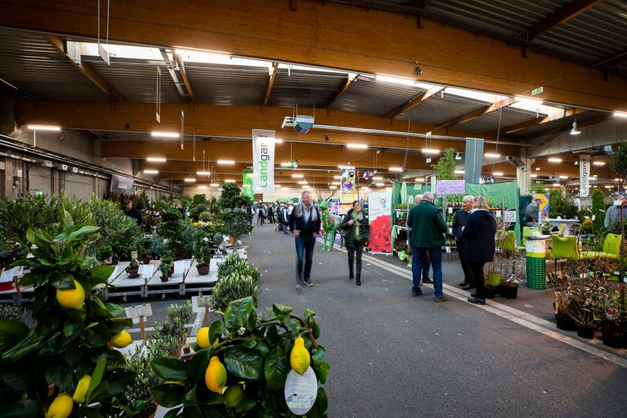 Landgard startet mit erfolgreichen Frühjahrs-Ordertagen in die Saison ...